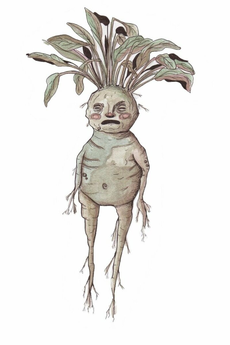 Pichoun'ventures d'hiver : Fabrication en argile d'un mandragore