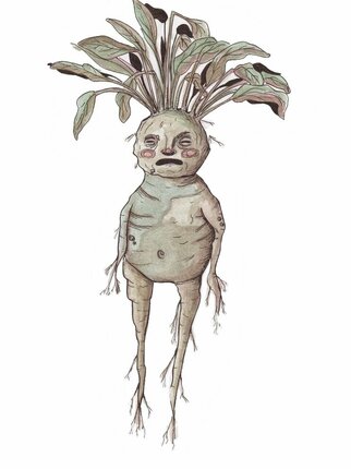 Pichoun'ventures d'hiver : Fabrication en argile d'un mandragore