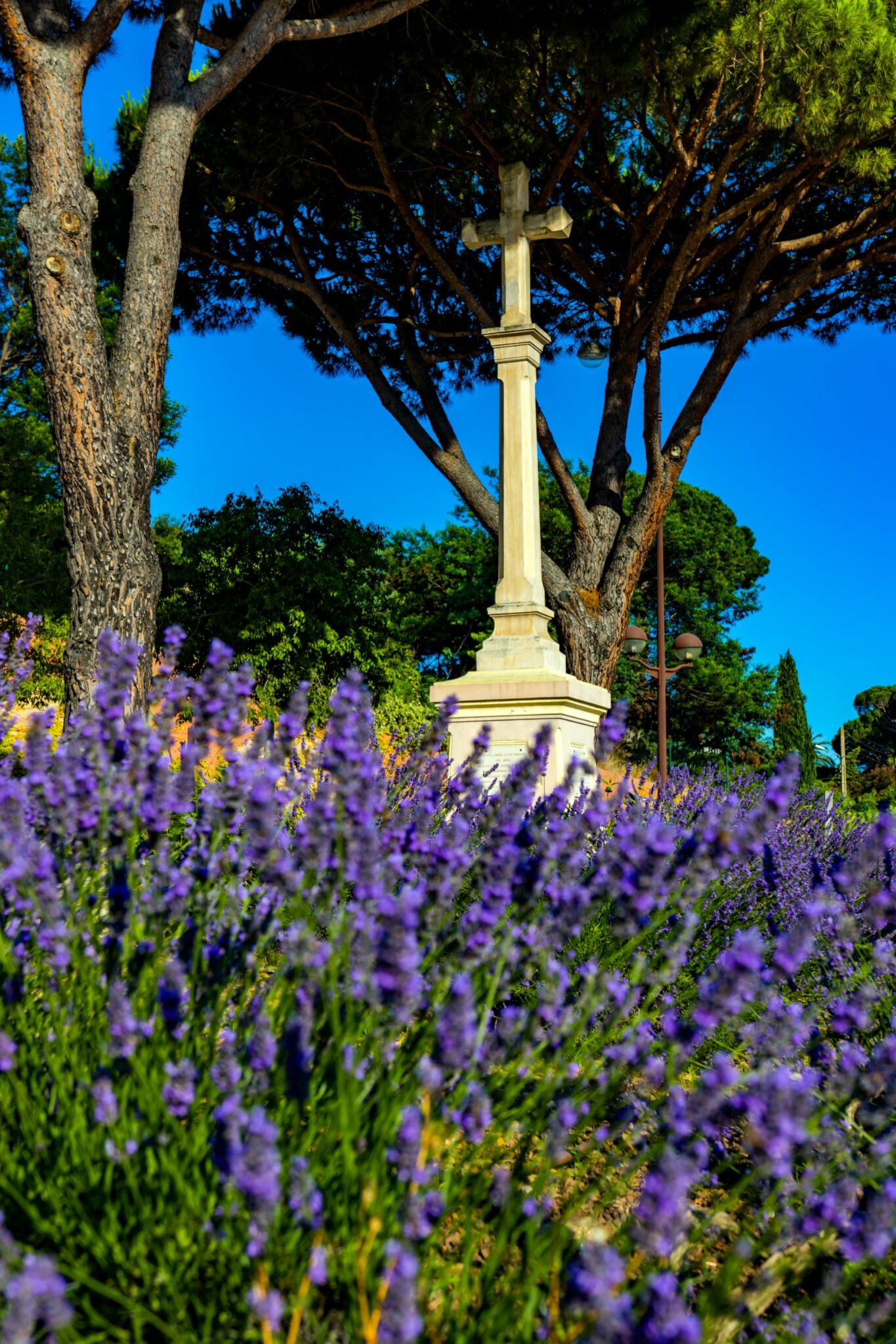 History - La Croix-Valmer Tourisme