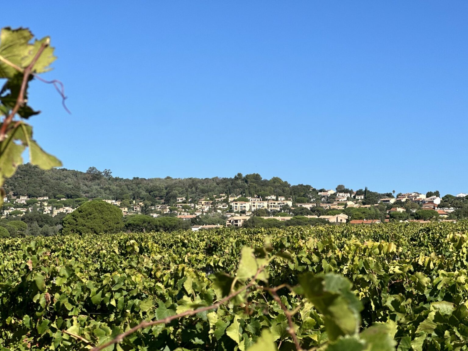 Home - La Croix-Valmer Tourisme